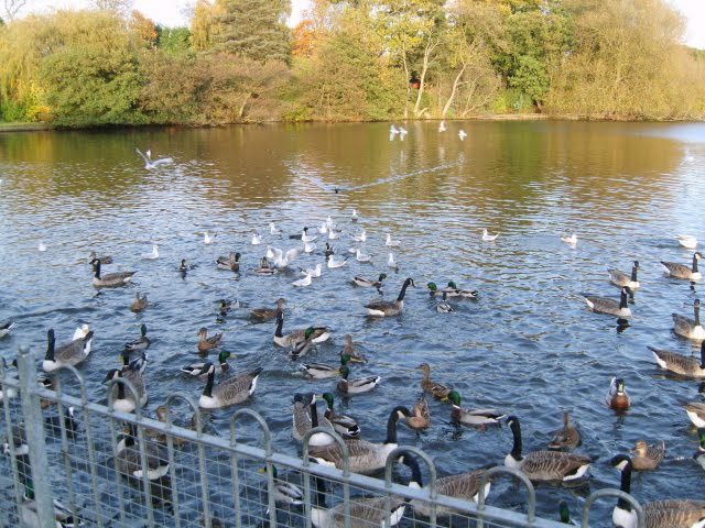Haslington Conservation Volunteers: Winterley Pool Interpretative Panel