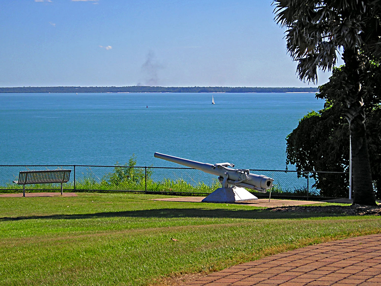 ART and ARCHITECTURE, mainly: Darwin: the man and the city