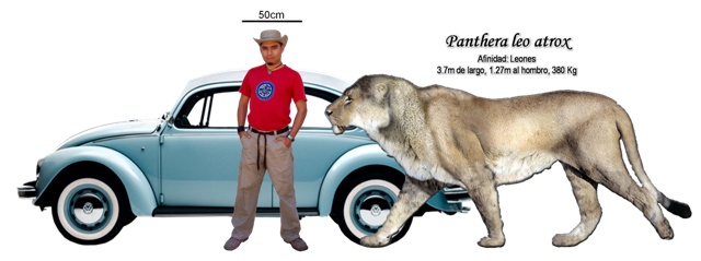 León gigante,actualmente extinto.