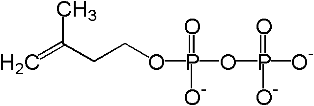 BIOQUIMICA 109: Jueves 15 de abril del 2010