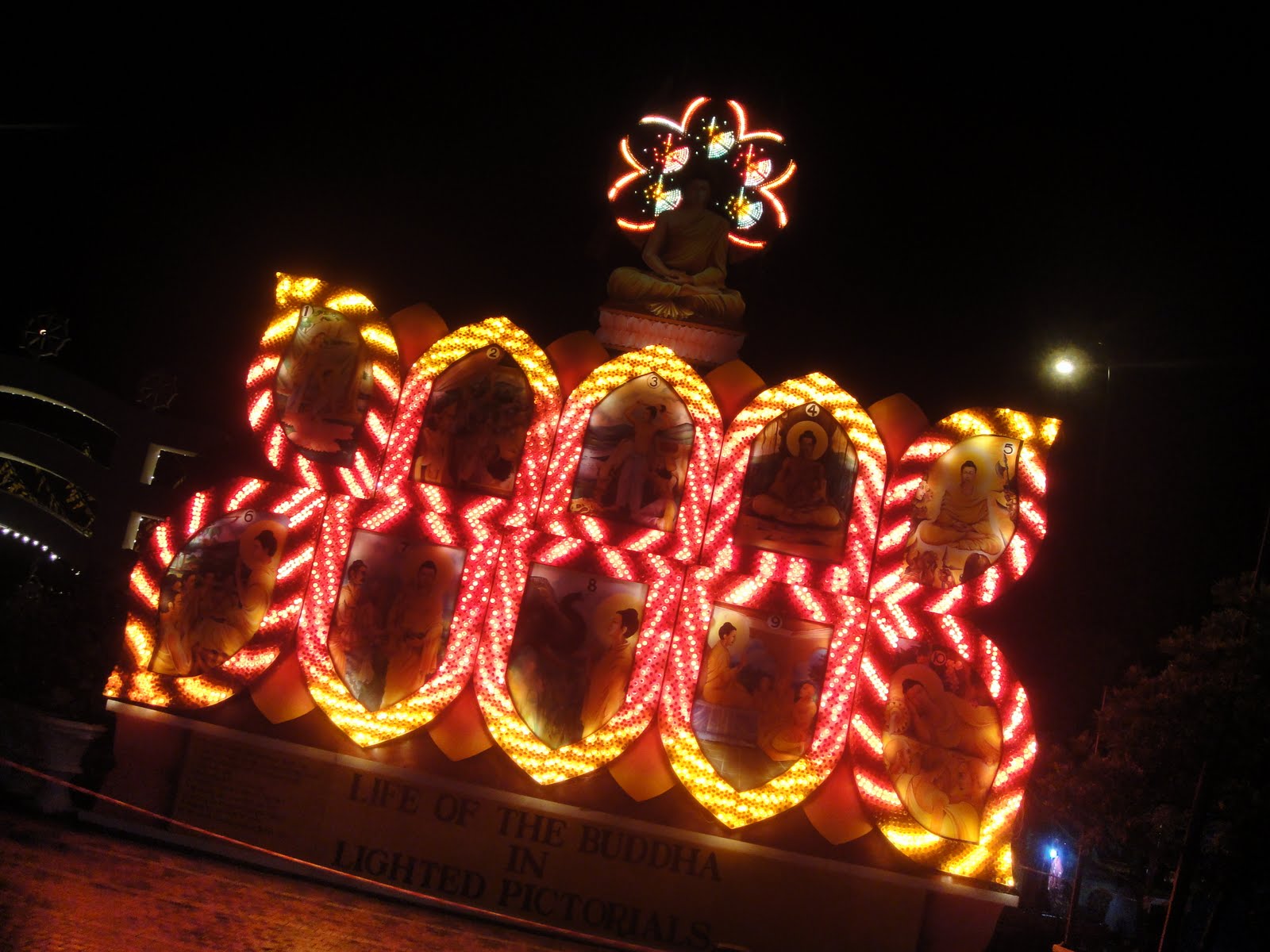 Ben In Brisbane: Thorana in BISDS