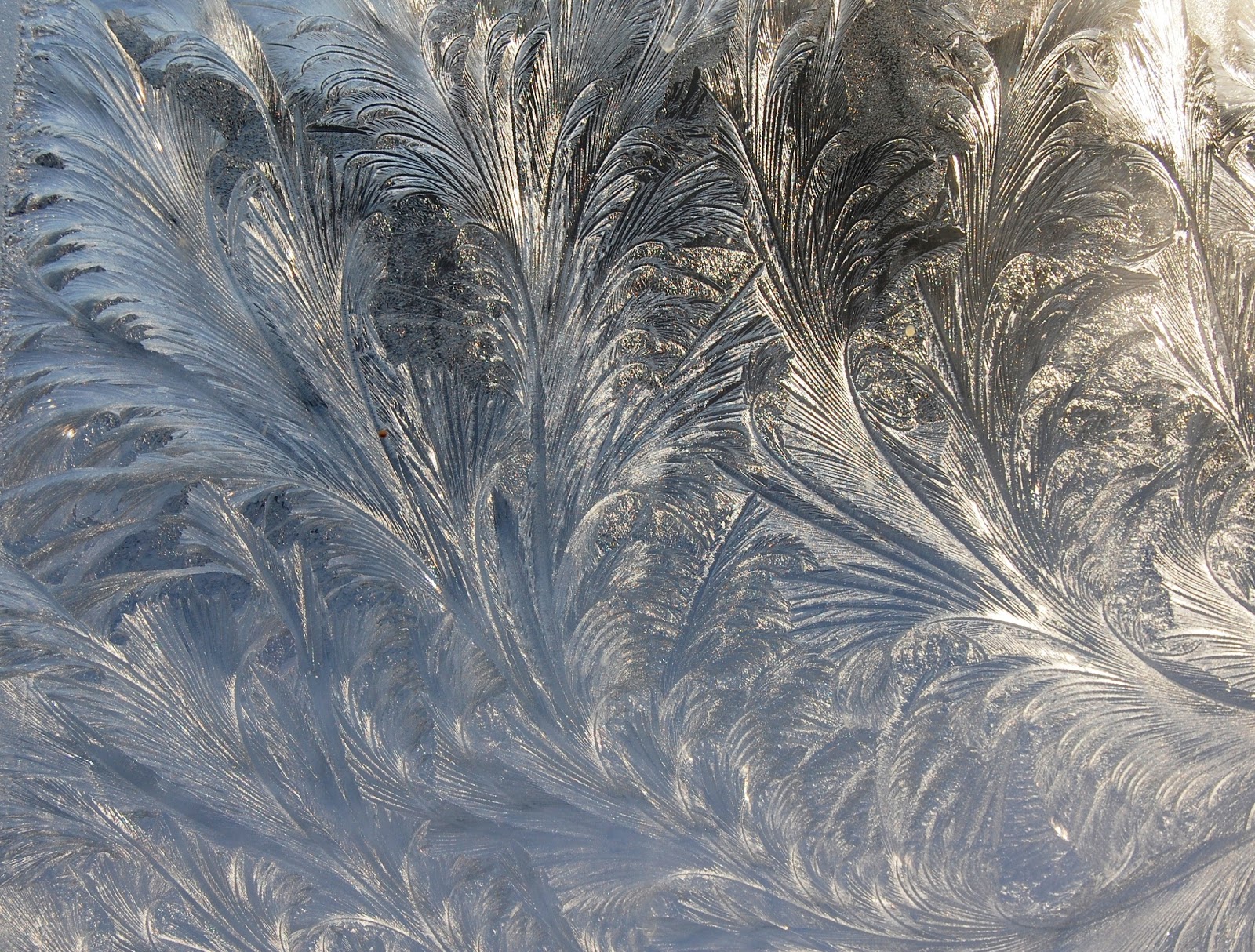 Soothe And Heal: ICE PATTERNS.....WOW