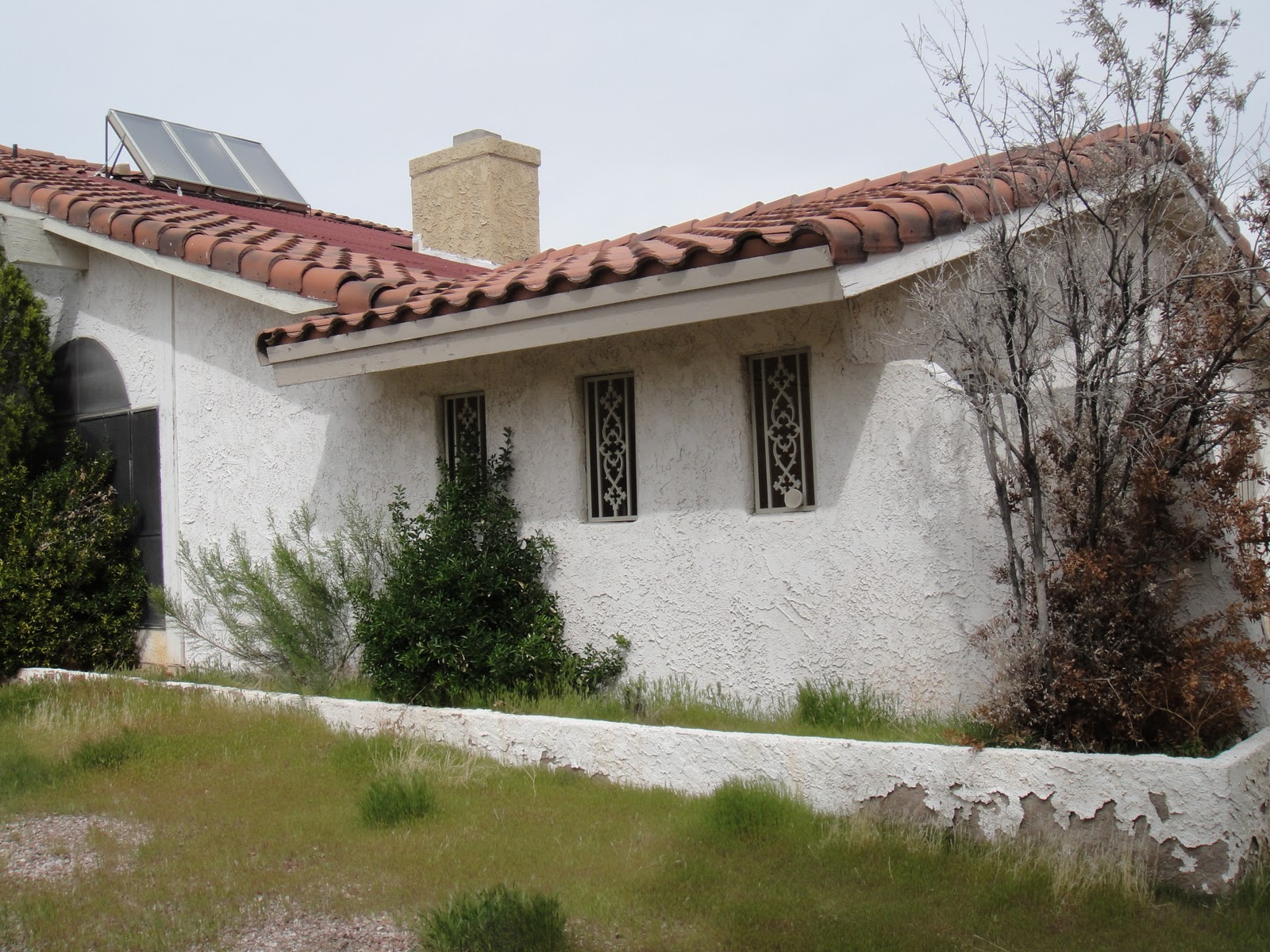 The Lisa Lane Project