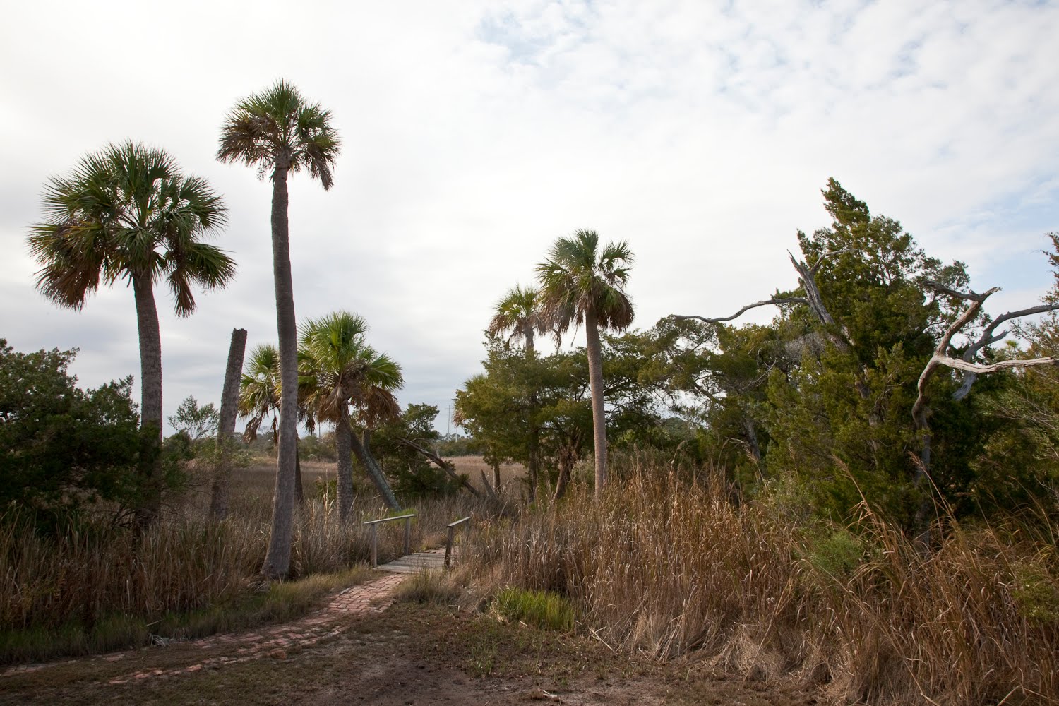 Kelly Joy Morrill: Savannah, Georgia