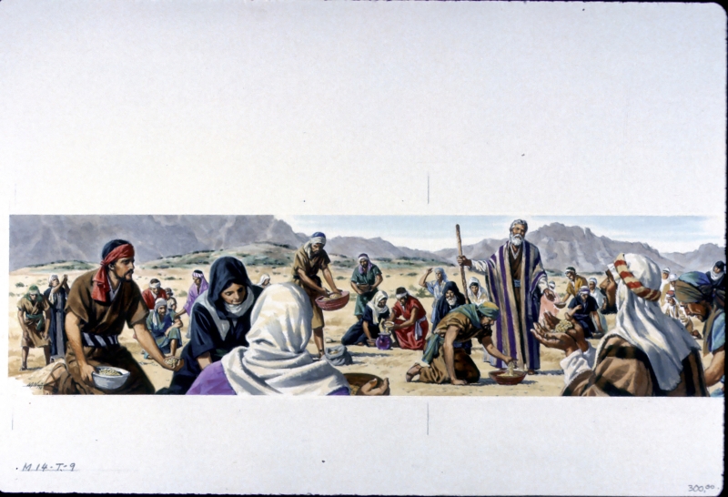 Bryan's Messianic Musings: The Messiah and His Miracles (Continued)