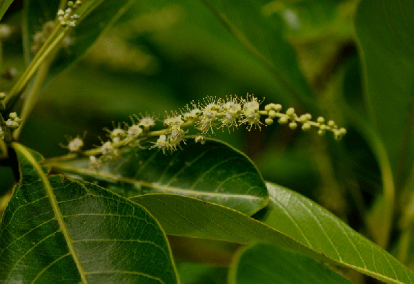 Back of Beyond The NT: Gimbat District/ SouthWest Kakadu Part III