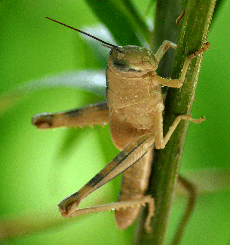 Back of Beyond The NT: Mary River Floodplain Sept 2010