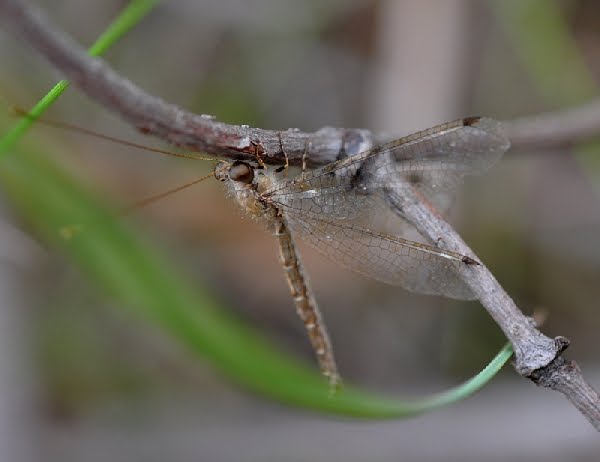 Back of Beyond The NT: Burdulba Creek / Kakadu Part III / November 2010