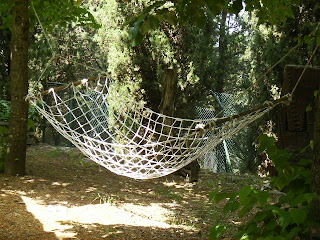 il mondo di eco: 2010