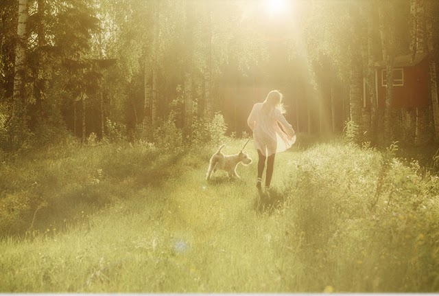 UNDERGROUND & OVERRATED: THE SECRET LIFE OF TREES