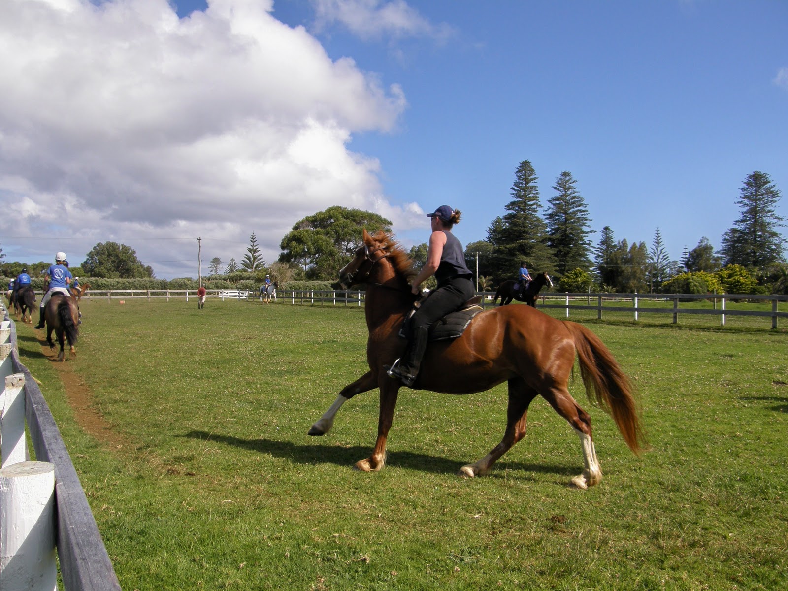 Norfolk Island Pony Club & Equestrian Association: Oct 2008 Pony Club ...