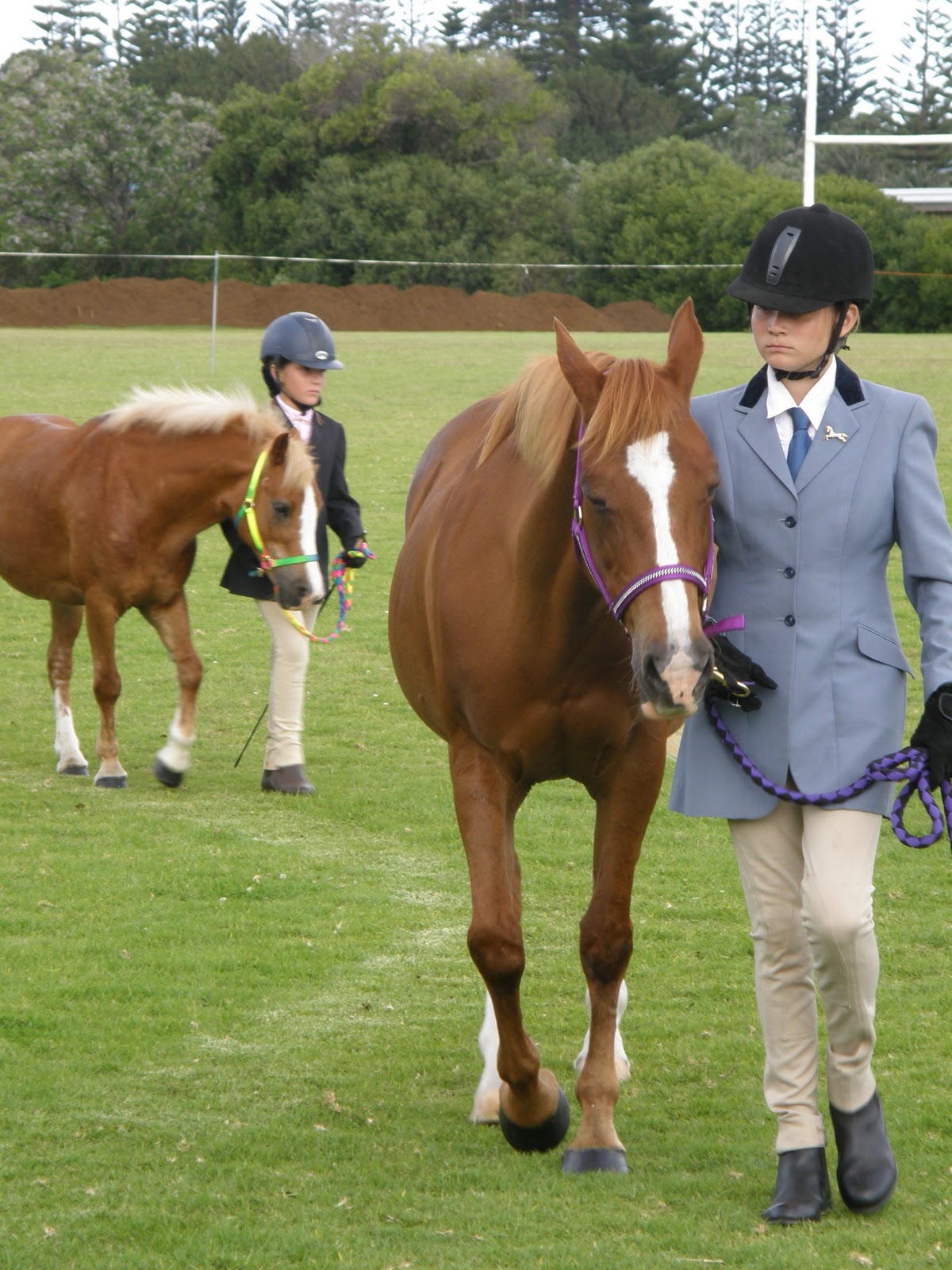 Norfolk Island Pony Club & Equestrian Association: 9 Oct 2010 Leading ...