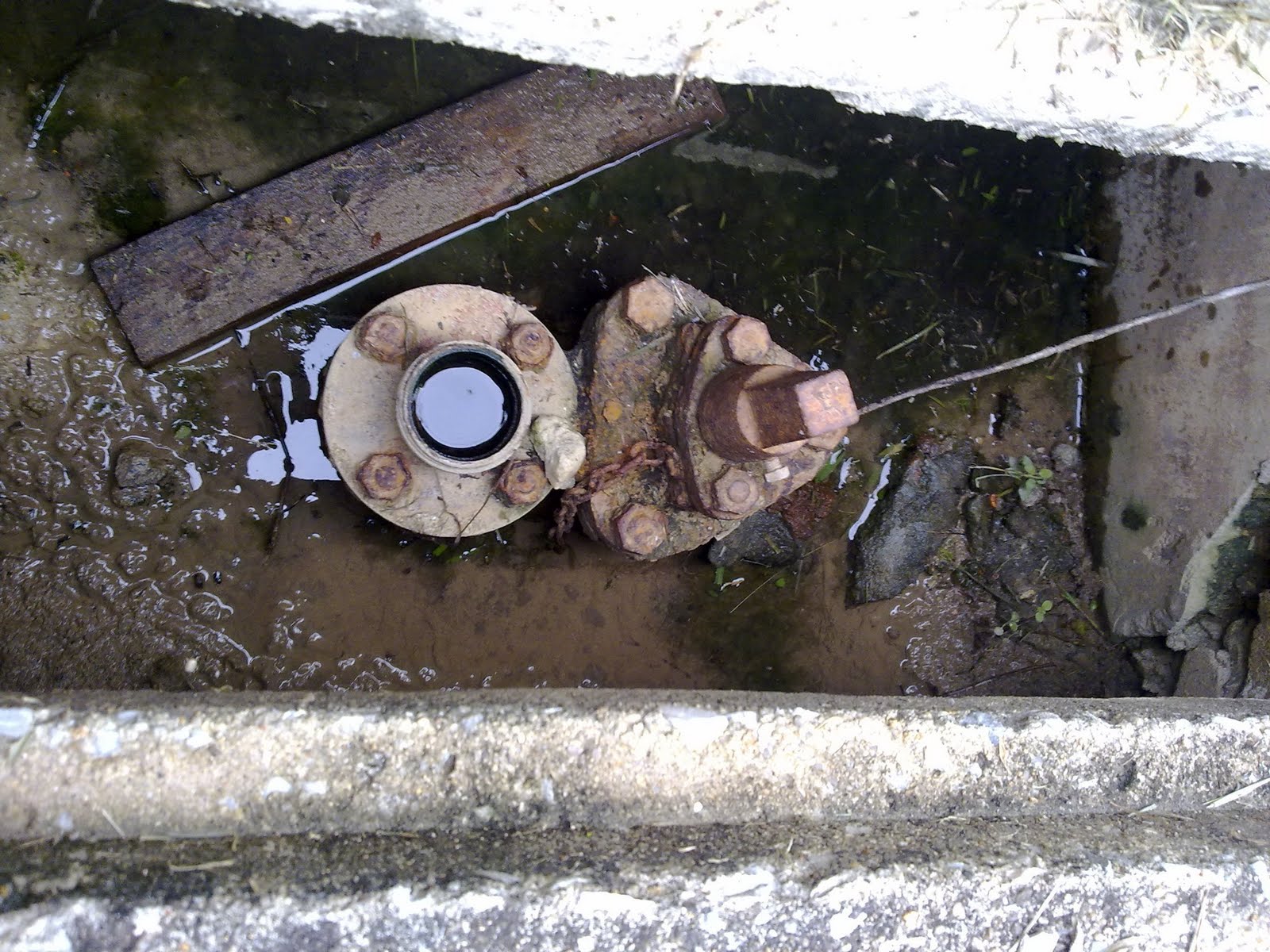 Kisah Klasik Untuk Masa Depan: Batu Tanda Pili Bomba