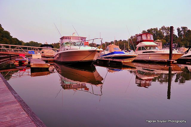 Yaprak Soysal Photography: Summit North Marina - Bear, DE