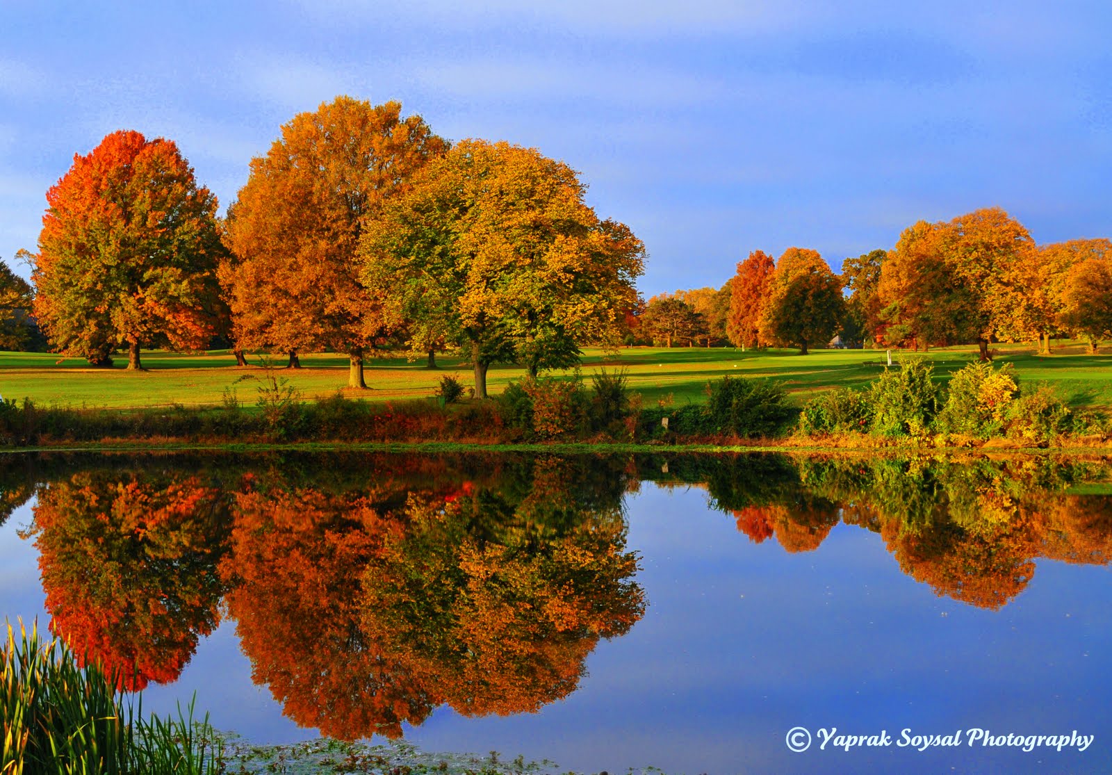Yaprak Soysal Photography: Fall Impressions @ Ed Oliver Golf Course