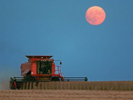 Neil Young News: A Rare Super Harvest Moon Tonight - Look Up!