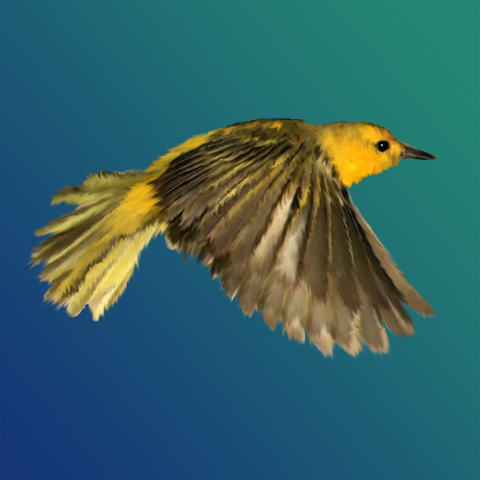 Yellow Bird Flying
