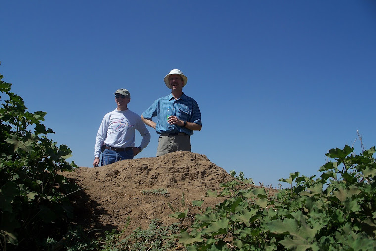 International Outreach: Sudan, Africa: Arrival in Wad Medani!