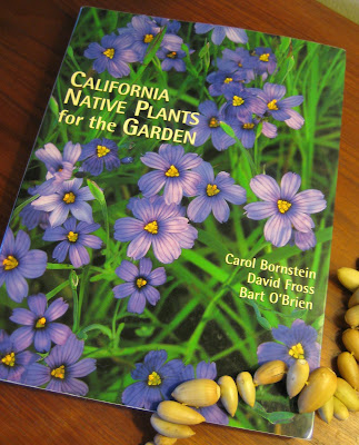 Idora Design: Book Review: California Native Plants for the Garden