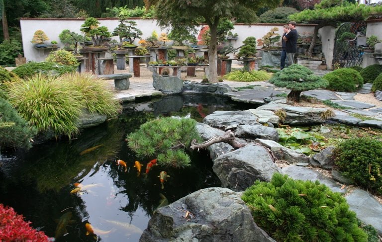 Nik Art bonsai blog: Pius Notter