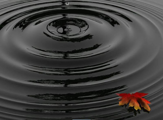 Amazing Things: BLACK Beauty Most Beautiful Color