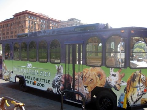 Amaze Pics & Vids: Amazing Zoo Buses - Photos...