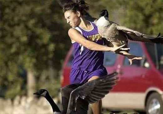 Amaze Pics & Vids: Animal Attacking the Humans (Part 2) - Amazing Photos...