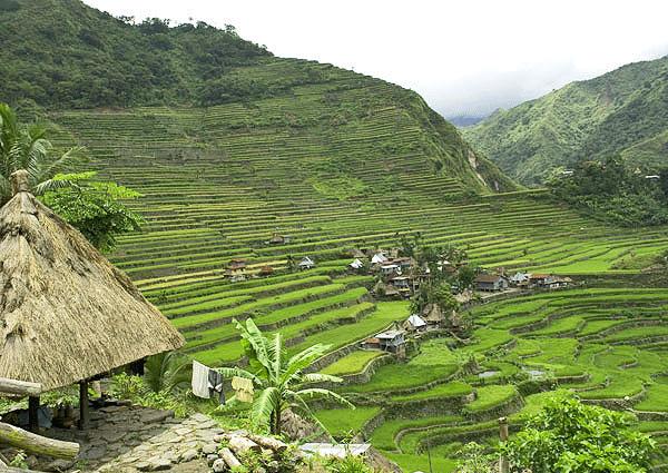 Amazing Rare Photos of White Terraces and Rice Terraces | ~Spicx~