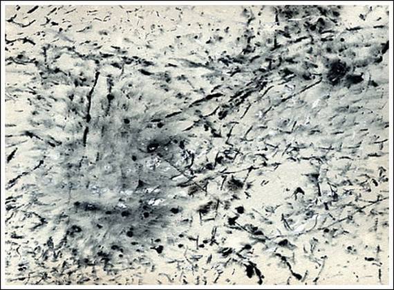 VENUREDDYB4U: Insect Modern Art - Amazing Bug Paintings...