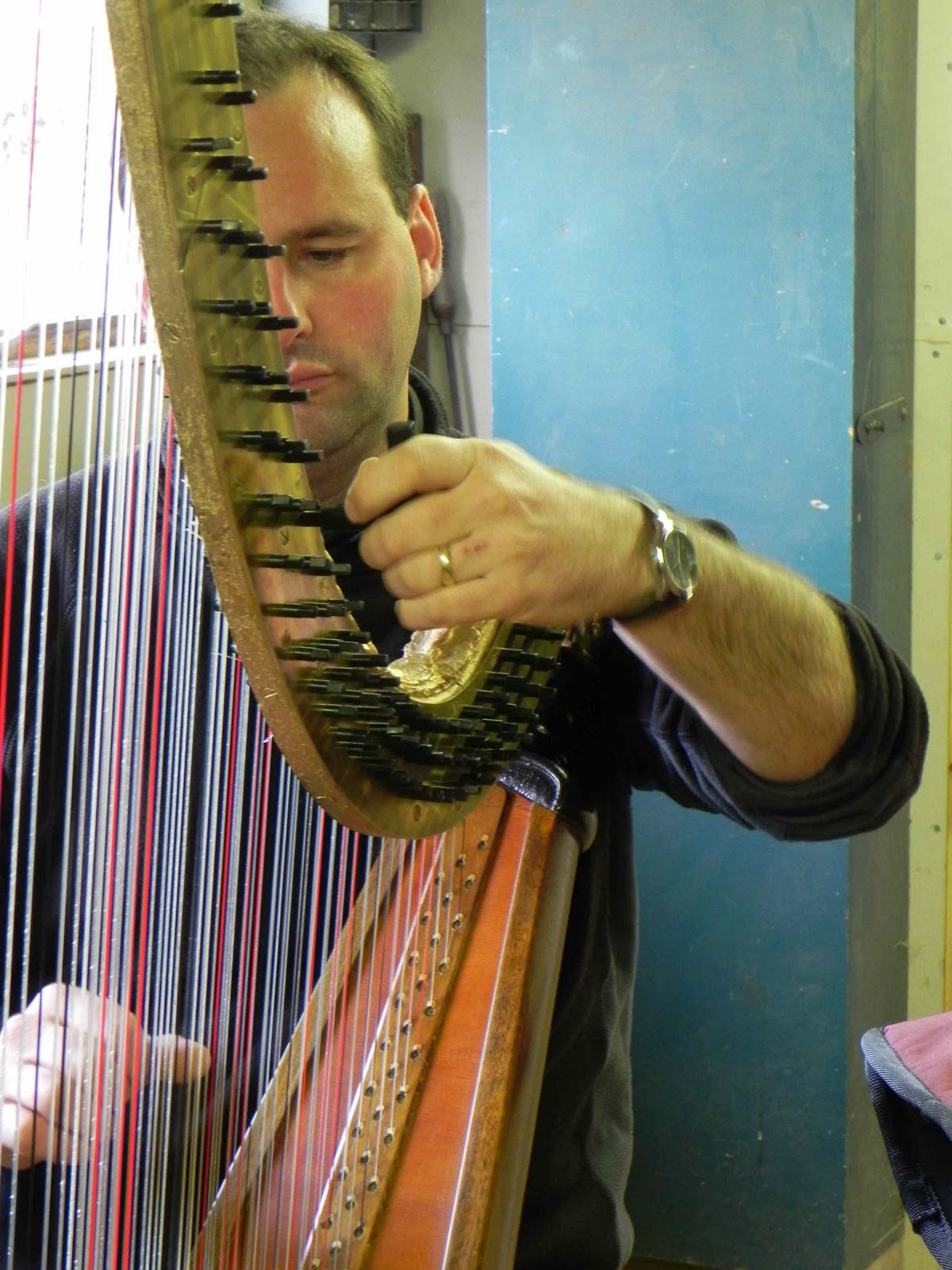 Maalie: The Triple Harp Mission