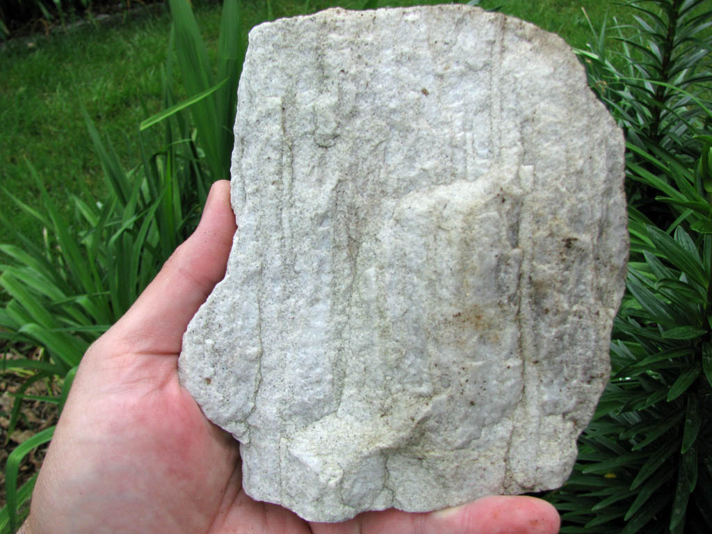 Views of the Mahantango: Skolithos