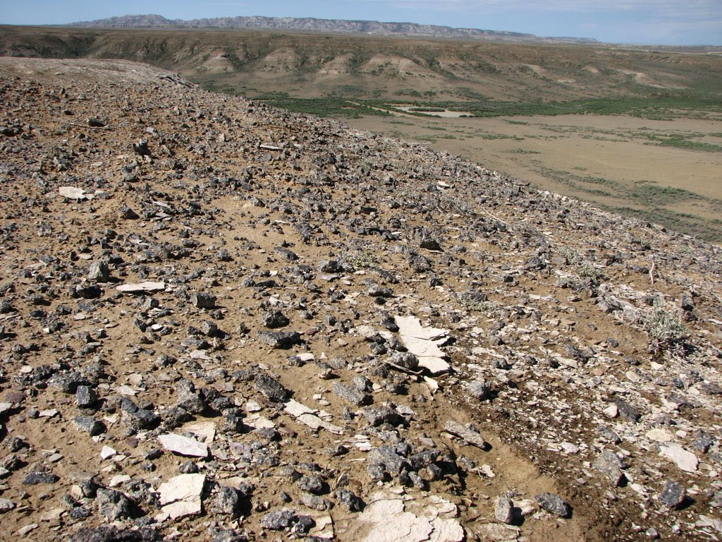 Views of the Mahantango: "Turritella Agate"