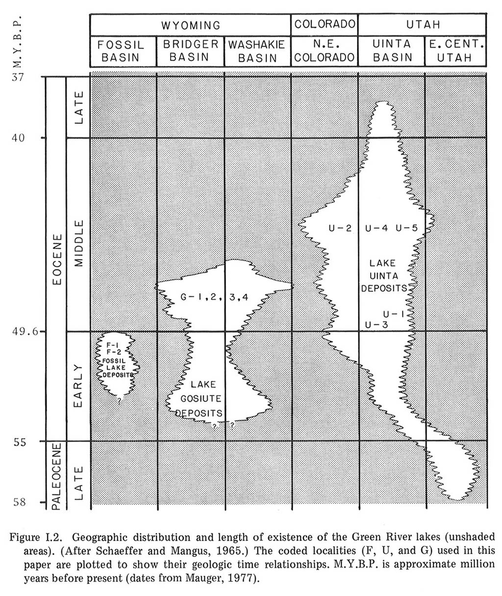 Views of the Mahantango: The Green River Formation
