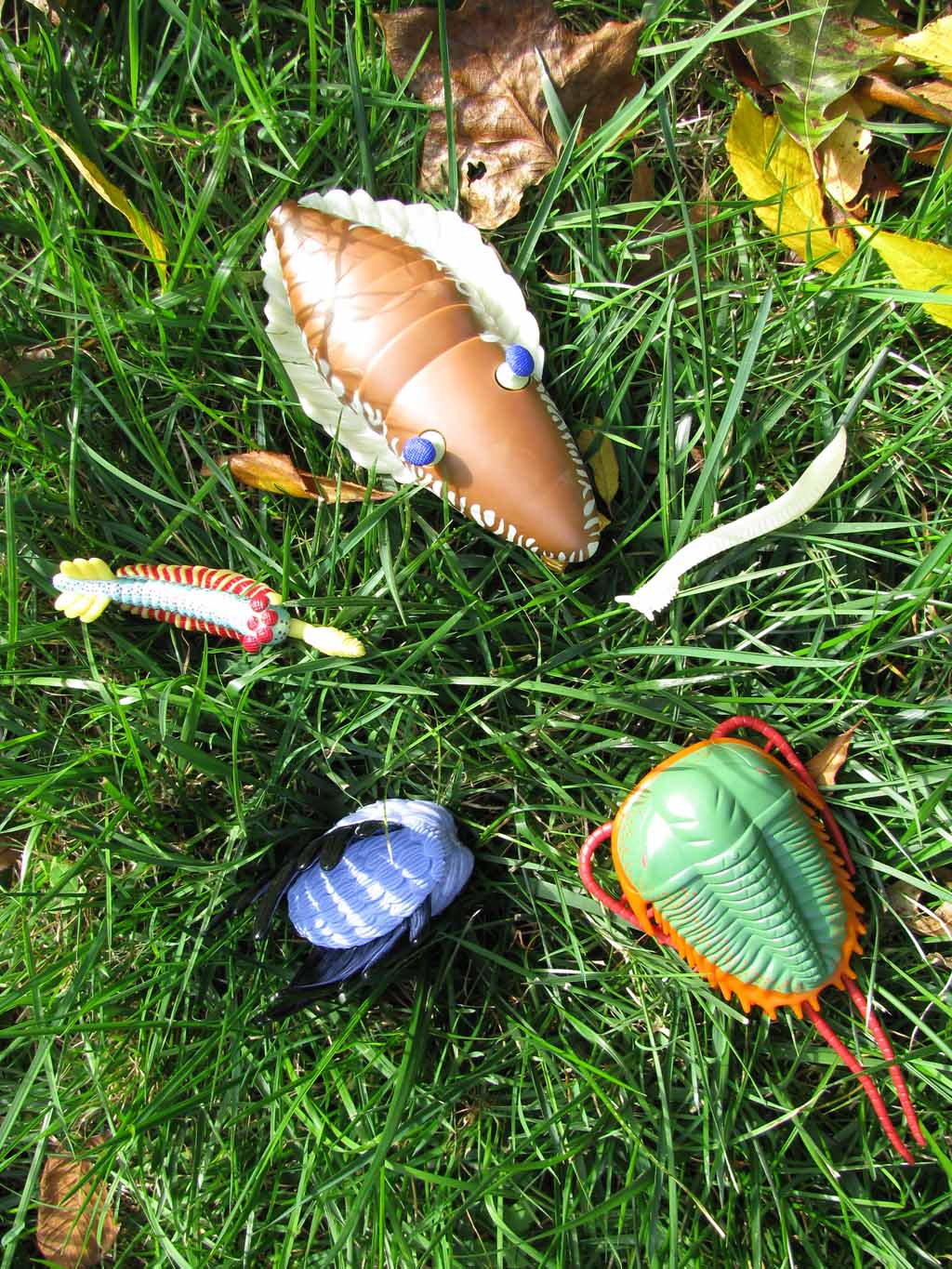 Views of the Mahantango: Burgess Shale toys