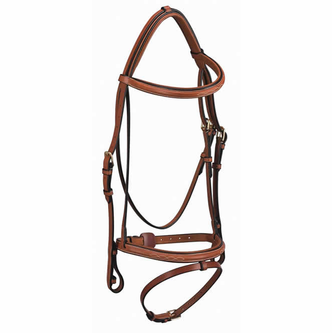 SPORT EQUESTRE LA THEORIE: bridon