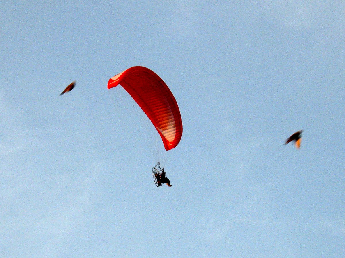 MM Sky Lovers: Parachute Riders at Wat Rong Khun, Chiang Rai