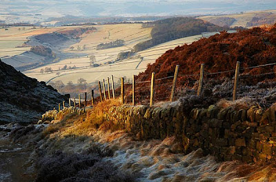 Shepherdpics: The Still fo the Morn