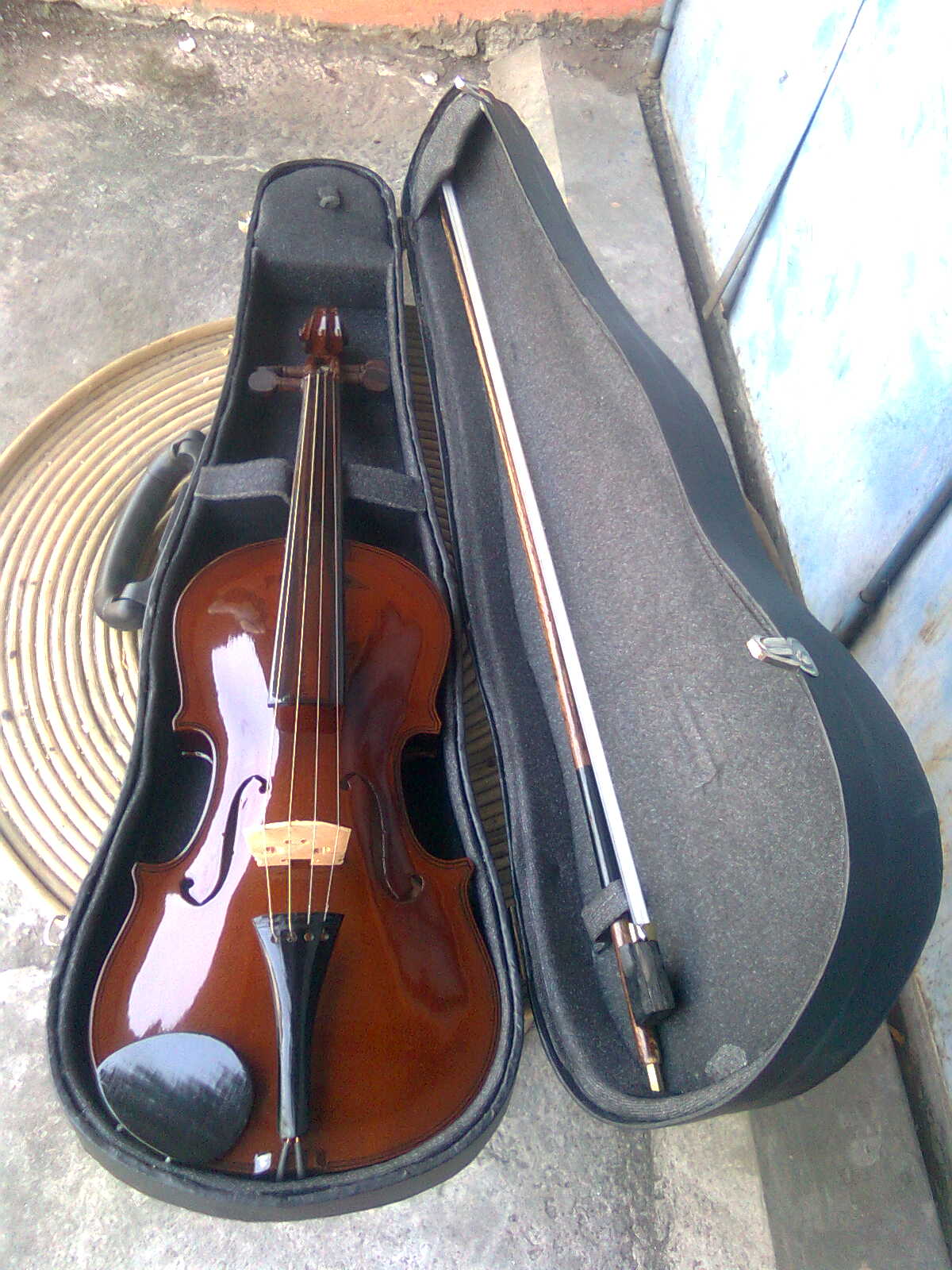 jual biola murah berkualitas