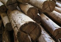 Merbau/Kwila and Teak