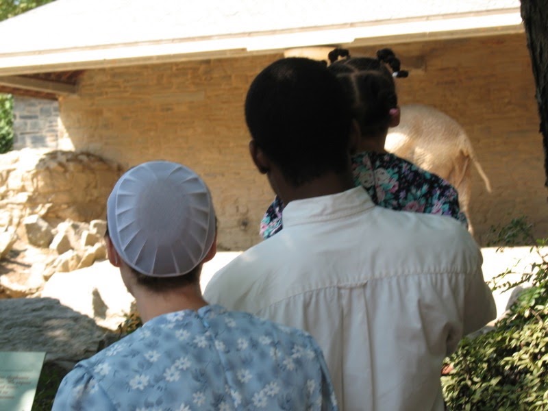 My American Meltingpot: Black and Amish?