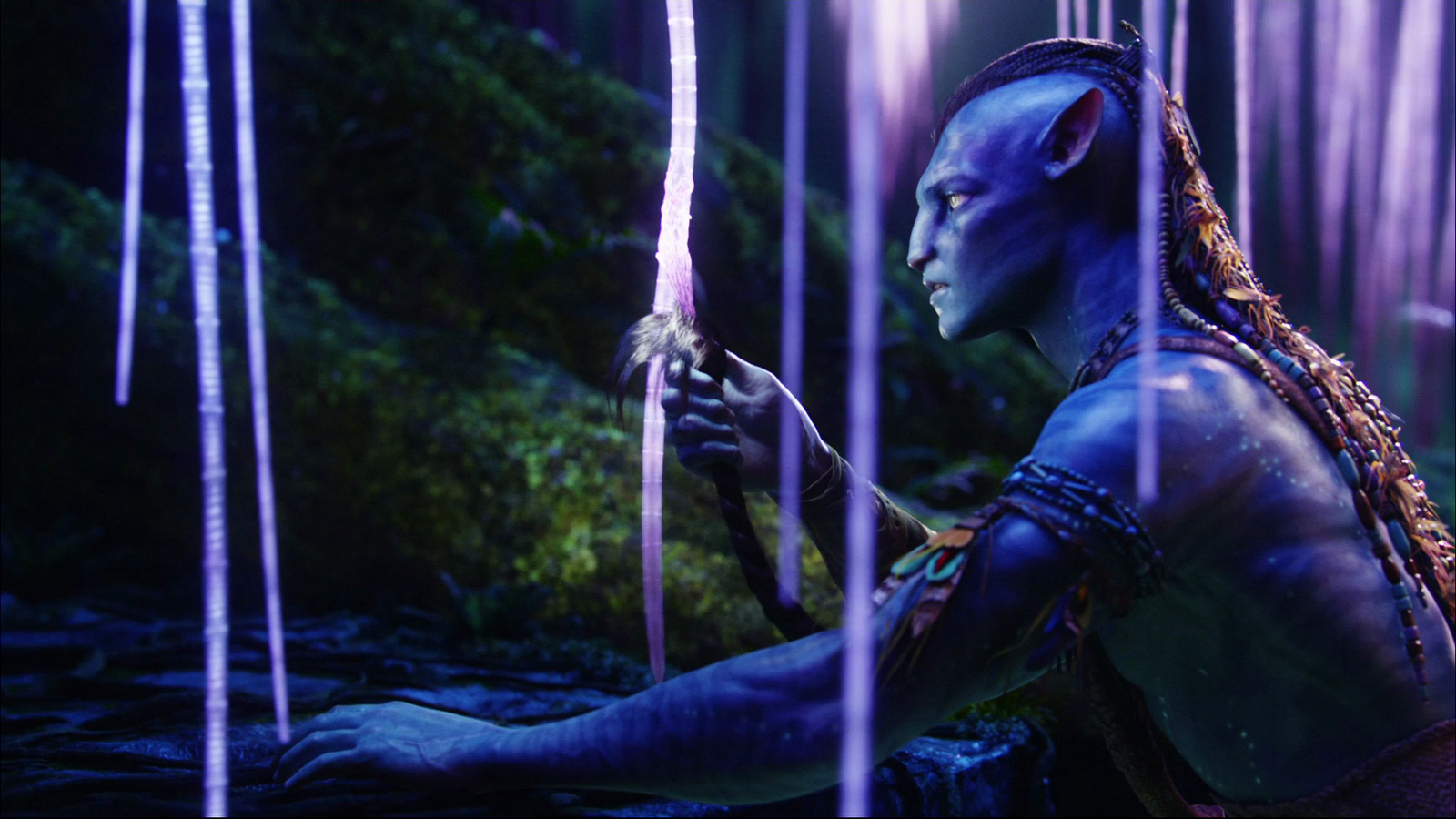 Avatar wall papers: Avatar Wall Papers