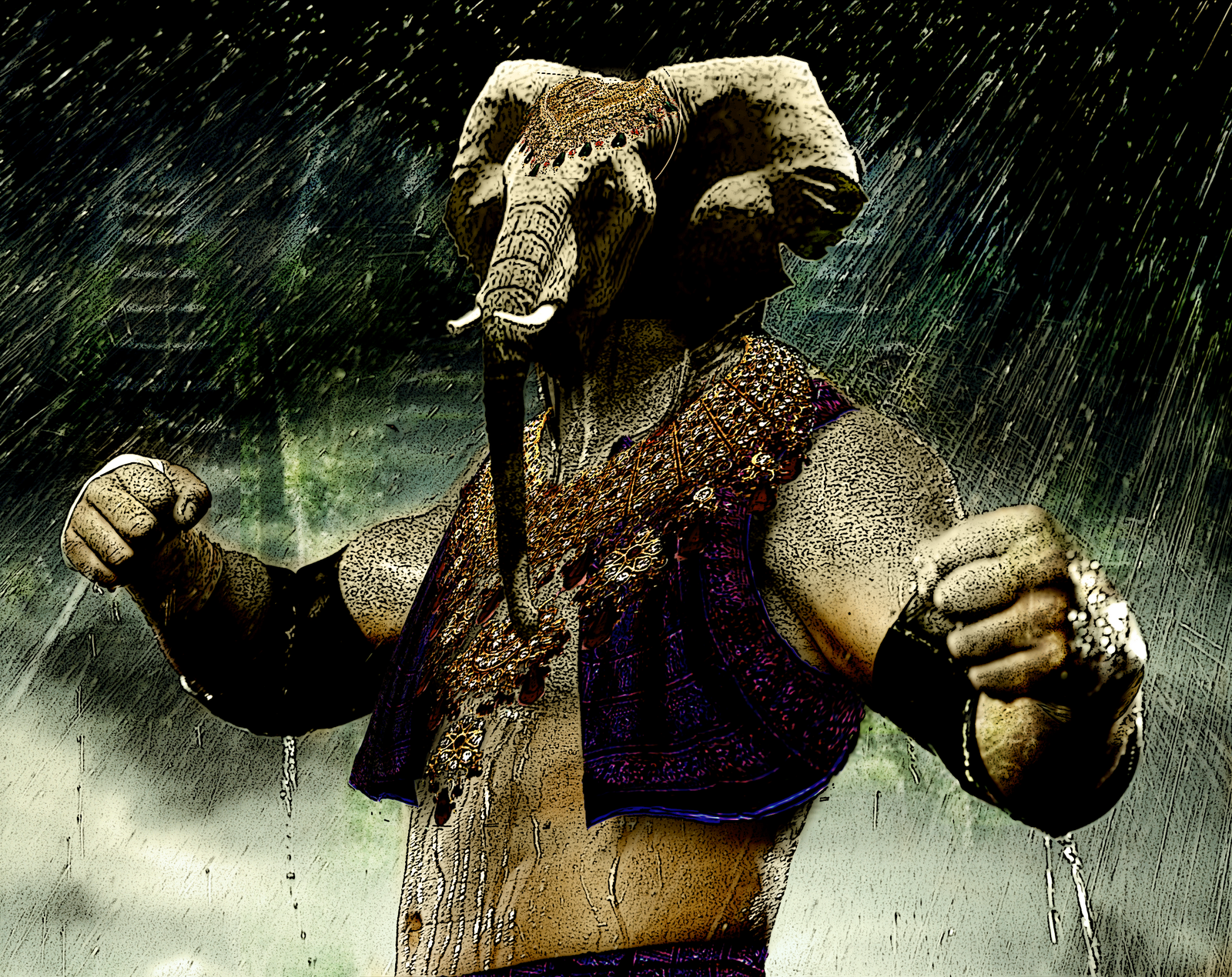 Ferran MClar: Ganesh