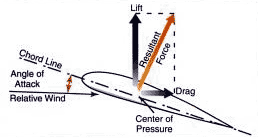 Principle Of Flight: Pressure Distribution