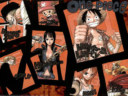 One Piece 48