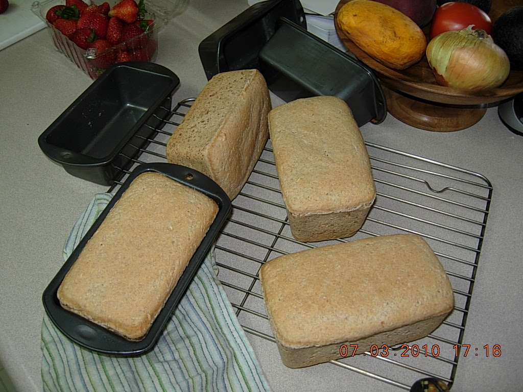 Fermenting in Utah: Sourdough Spelt Bread