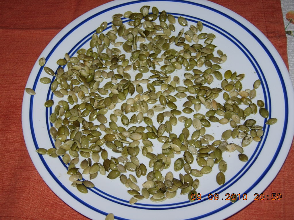 Fermenting in Utah: Pumpkin Seed Ferment
