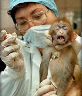Samsara: The Disturbing World of Animal Testing