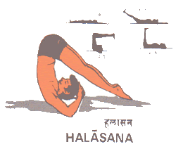 YOGA KRIYAS: Halasana