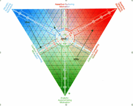 Jenna's Career Blog: SDI Personality and Motivation - #8