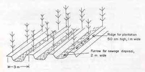 SALEEM INDIA BLOG: The Karnal Technology Of Sewage Treatment & ZERO ...